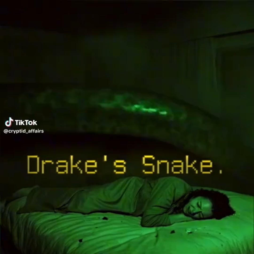 Drake's Snake Analogy